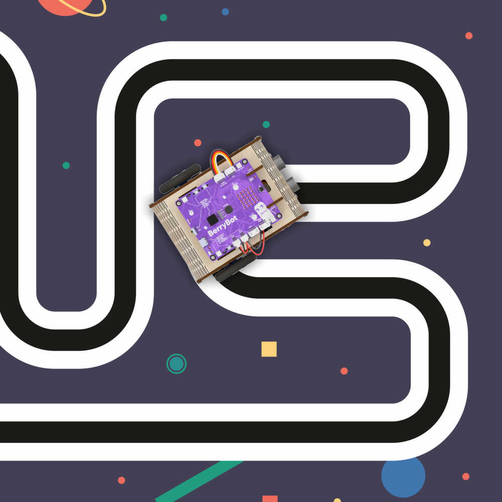 BerryBot Programmable Educational Robot – Picobricks