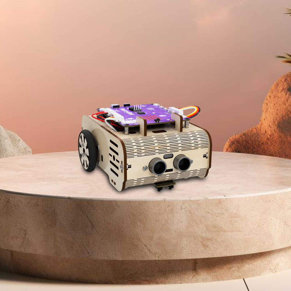 BerryBot Programmable Educational Robot – Picobricks