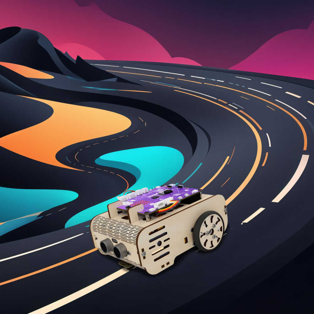 BerryBot Programmable Educational Robot – Picobricks